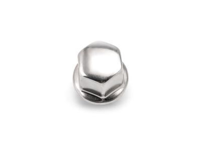 19303308 - Genuine GM Lug Nuts in Stainless Steel