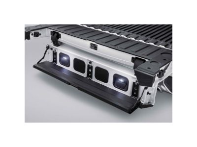 84347814 - Genuine GM Tailgate Step Lighting