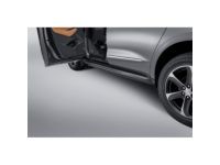 Buick Enclave Assist Steps - Genuine GM