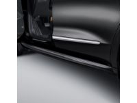 Buick Enclave Assist Steps - Genuine GM