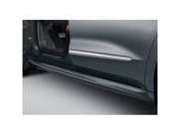 Buick Enclave Assist Steps - Genuine GM