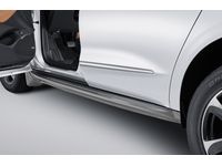 Buick Enclave Assist Steps - Genuine GM