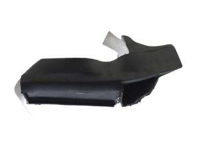 Chevrolet Express Door Seal - Guaranteed Genuine Chevrolet Parts