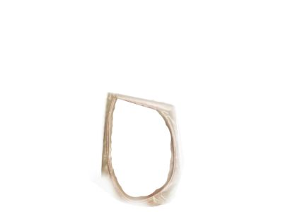 12101899 - Genuine GM Parts