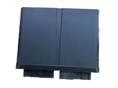13580553 - Genuine GM Keyless Entry Control Module Assembly