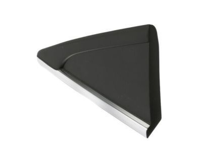 95991483 - Genuine GM Applique Asm,Body Side Upper Rear