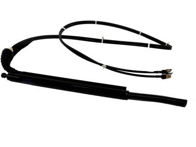 20927446 - Genuine GM Actuator Assembly, Lift Gate Hydraulic