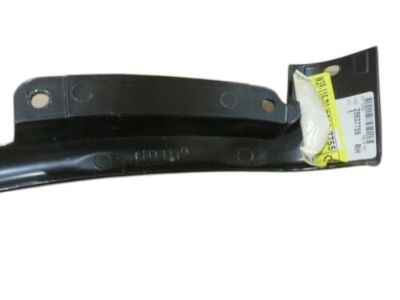 25761793 - Genuine GM Extension, Front Fender