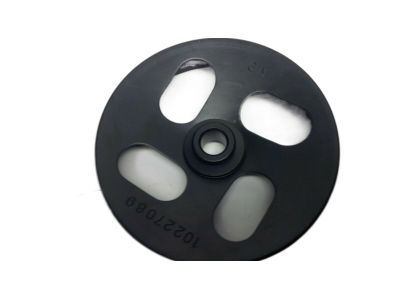10227069 - Genuine GM Pulley Assembly, P/S Pump