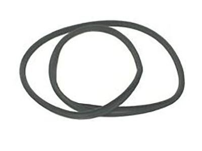 92161701 - Genuine GM Weatherstrip Assembly, Front Side Door