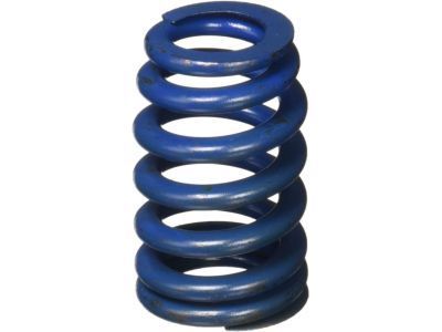 12499224 - Genuine GM Spring Pkg,Valve