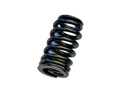 12678635 - Genuine GM Spring, Valve