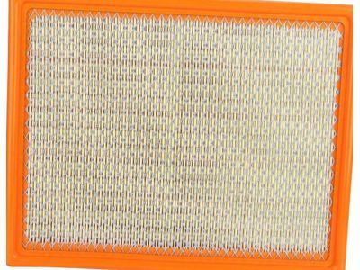 15908915 - Genuine GM Element,Air Cleaner