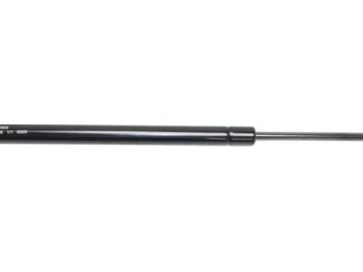 22902995 - Genuine GM Strut Assembly, Lift Gate (Lh)