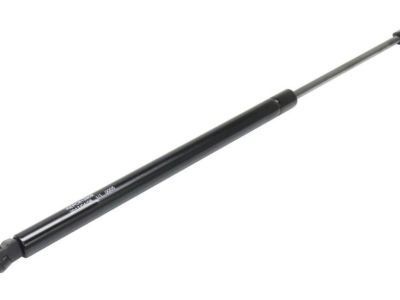 22902995 - Genuine GM Strut Assembly, Lift Gate (Lh)