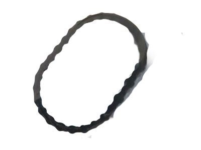 12627061 - Genuine GM Gasket, Water Outlet