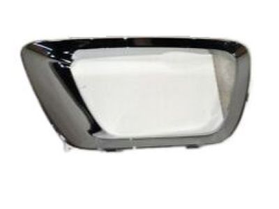 19329247 - Genuine GM Lamp Asm,Parking & Turn Signal