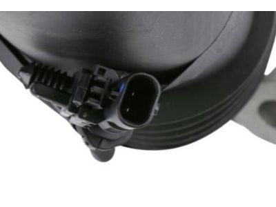 23167235 - Genuine GM Absorber Assembly, Front Shock