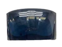 19167780 - Genuine GM Seal,Roof Rear Panel