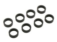 Chevrolet Equinox Fuel Injector O-Ring