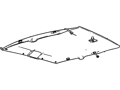 88890304 - Genuine GM Panel Asm,Headlining Trim *Black