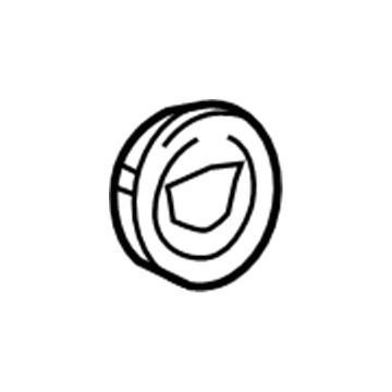 Wheel Caps - 2022 Cadillac CT5