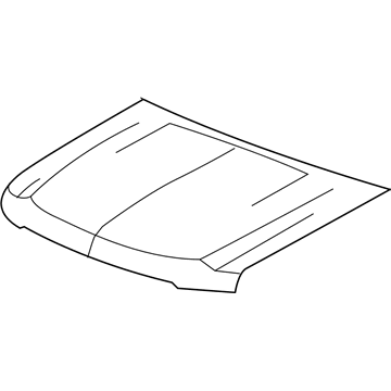 15939876 - Genuine GM Hood Asm